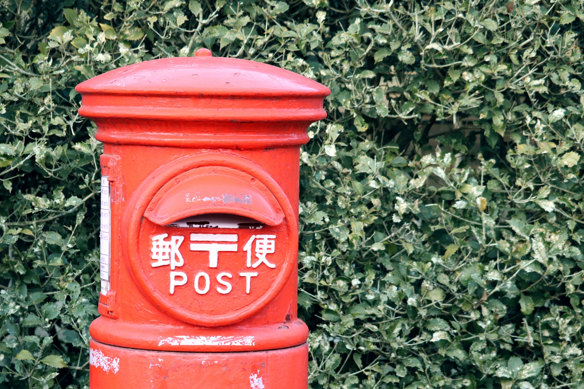 思い出 - ハガキ交流サイト「efumi」