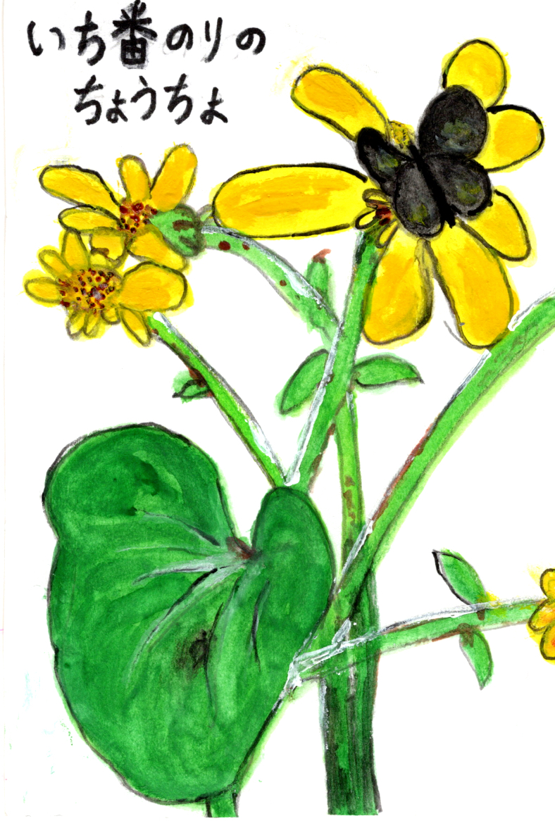 〒2128 – ハガキ交流サイト「efumi」